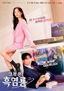 Mi querido némesis-Enlaces oficiales para ver este drama coreano